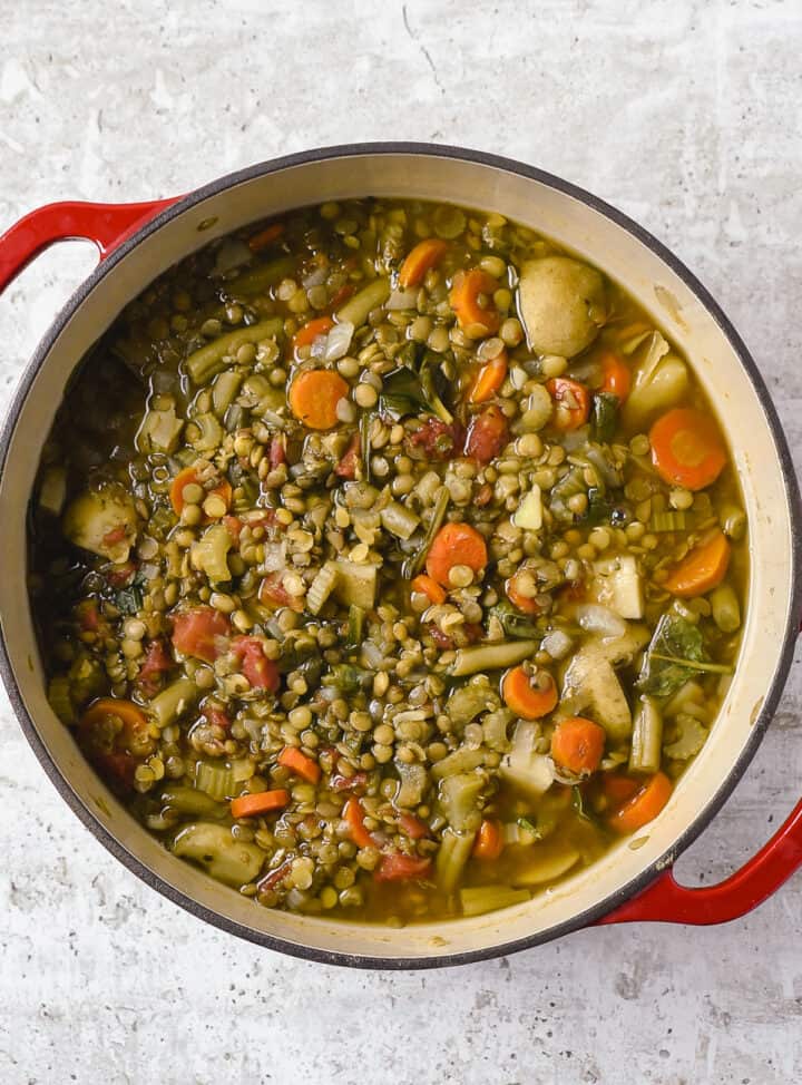 Easy 1-Pot Vegan Lentil Soup (10 Ingredients!) - Shane & Simple